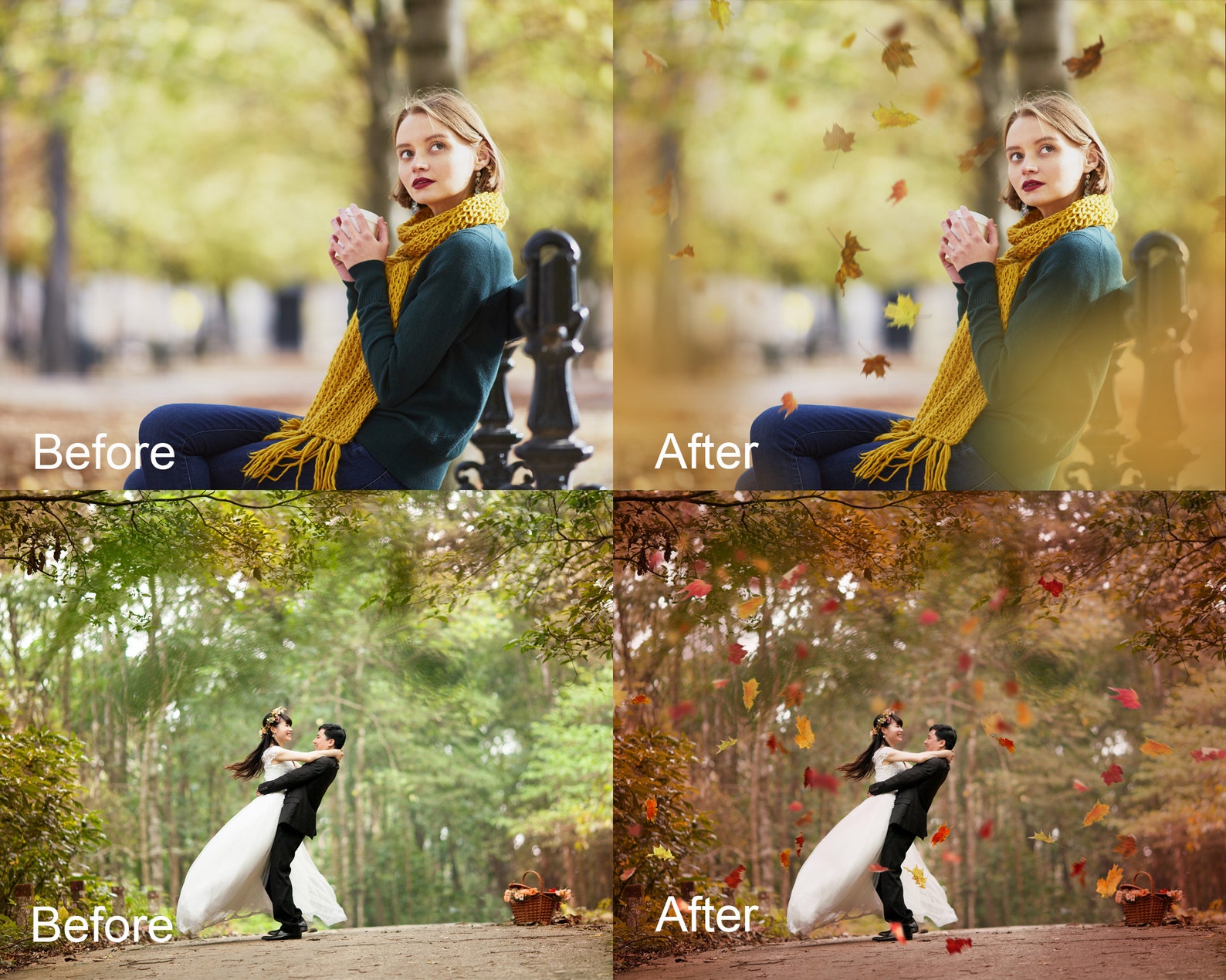 Autumn Tree Leaf Overlays, PNG Falling Leaves Overlays, Fall Tree ...