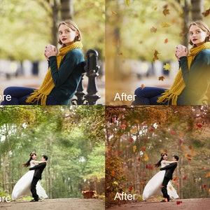 Autumn Tree Leaf Overlays, PNG Falling Leaves Overlays, Fall Tree ...