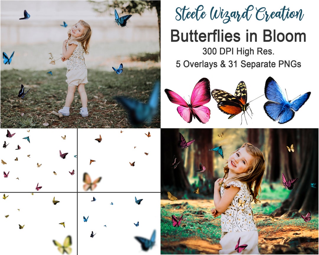 Butterfly Overlay, Butterflies Overlays, Butterfly Clipart, Blue ...