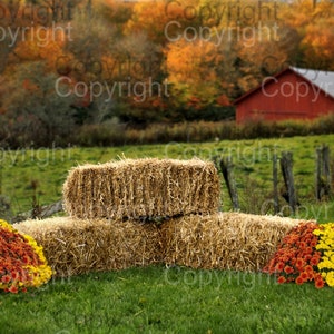 Farm Digital Background, Autumn Backdrop, Fall Digital Backdrop, Farm ...