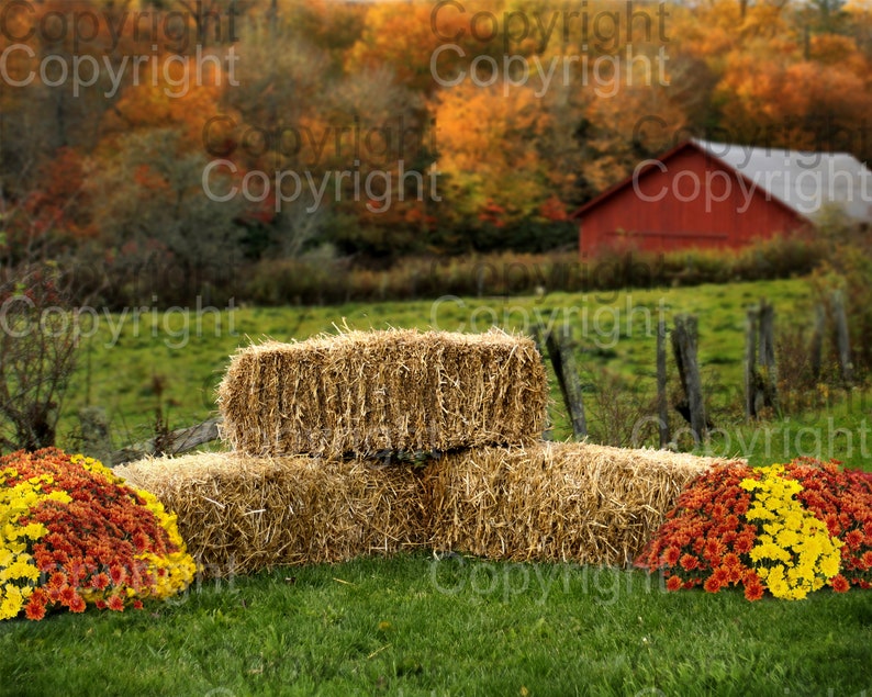 Farm Digital Background, Autumn Backdrop, Fall Digital Backdrop, Farm ...