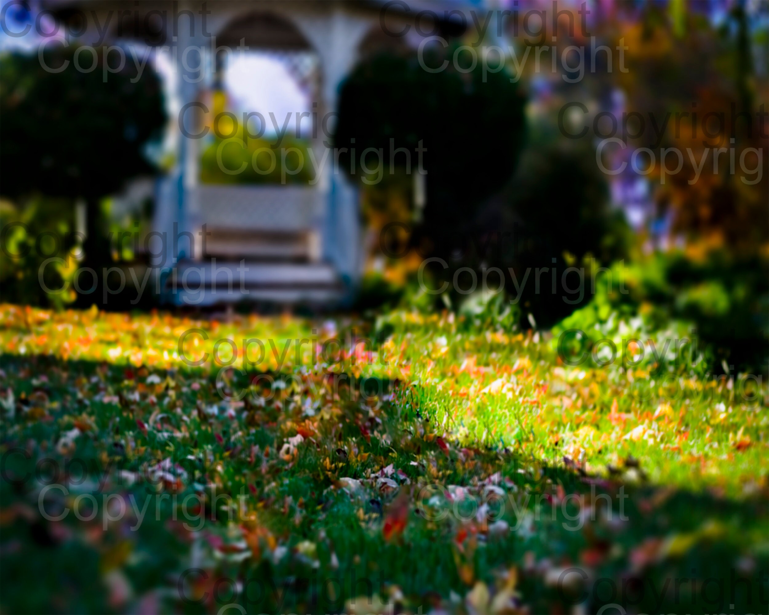 Digital Background Spring Backdrop Trails Path Summer | Etsy