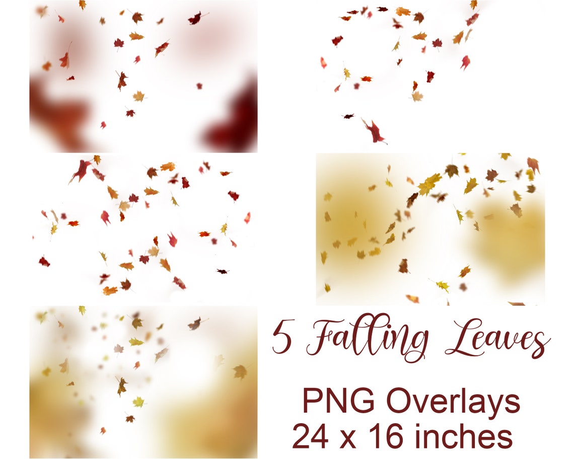 Autumn Tree Leaf Overlays, PNG Falling Leaves Overlays, Fall Tree ...