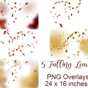 Autumn Tree Leaf Overlays, PNG Falling Leaves Overlays, Fall Tree ...