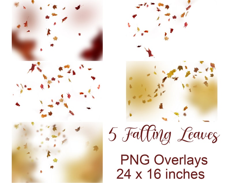 Autumn Tree Leaf Overlays, PNG Falling Leaves Overlays, Fall Tree ...