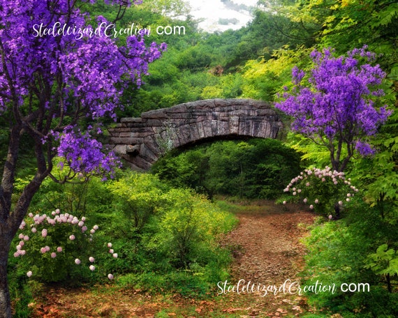 Spring Floral Backdrop Bridge in Woods Digital Background - Etsy