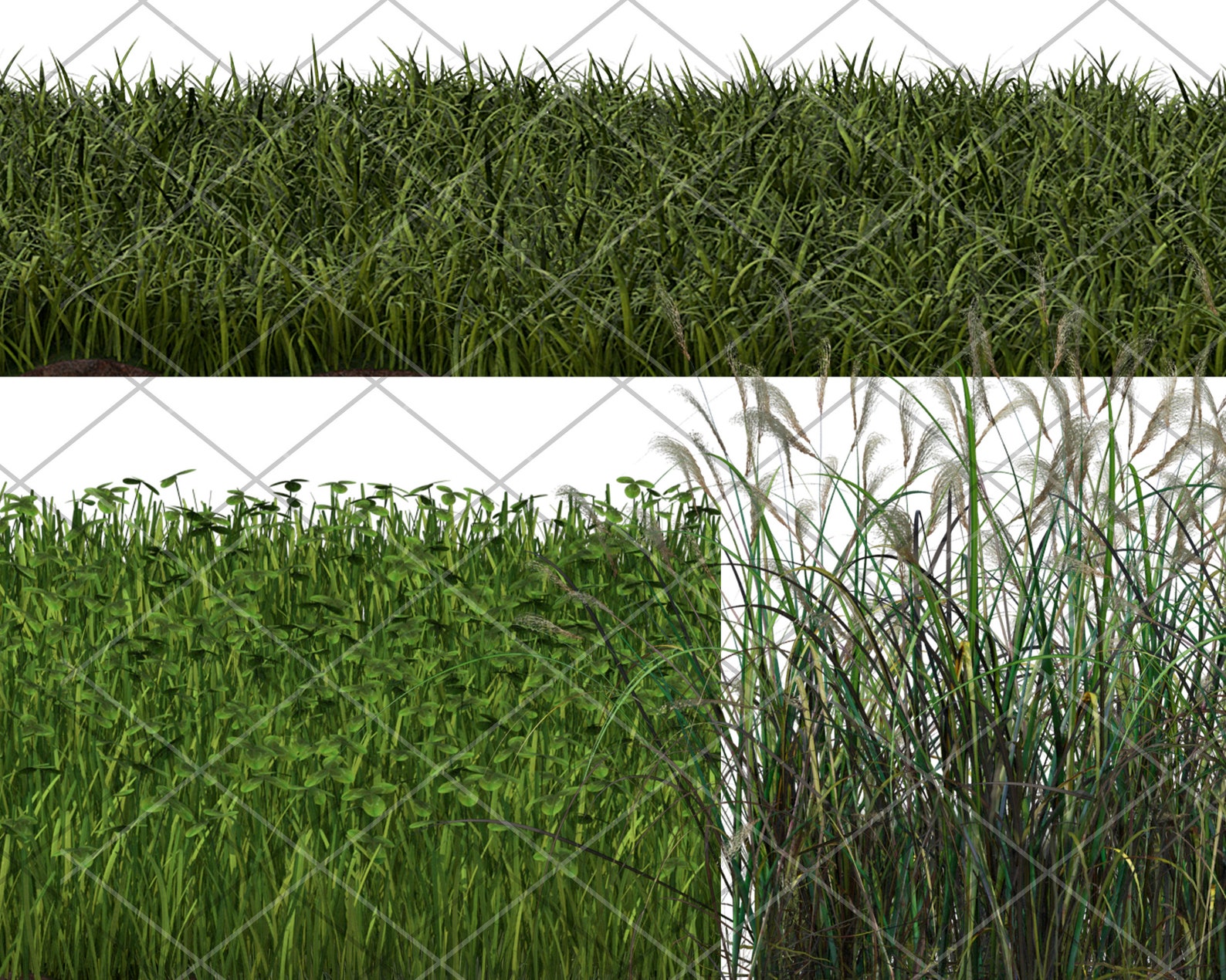 10 PNG Grass Overlays, Real Grass Overlays, Transparent Grass PNG ...