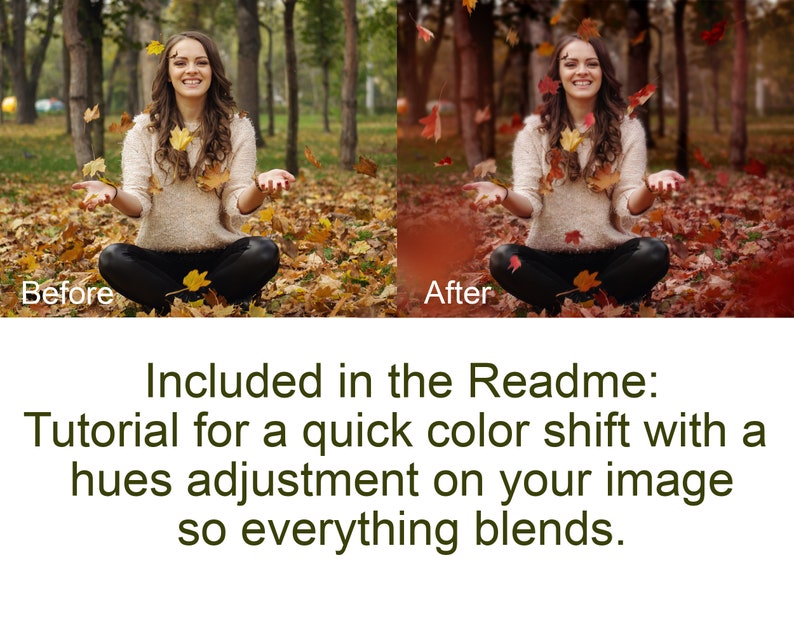 Autumn Tree Leaf Overlays, PNG Falling Leaves Overlays, Fall Tree ...