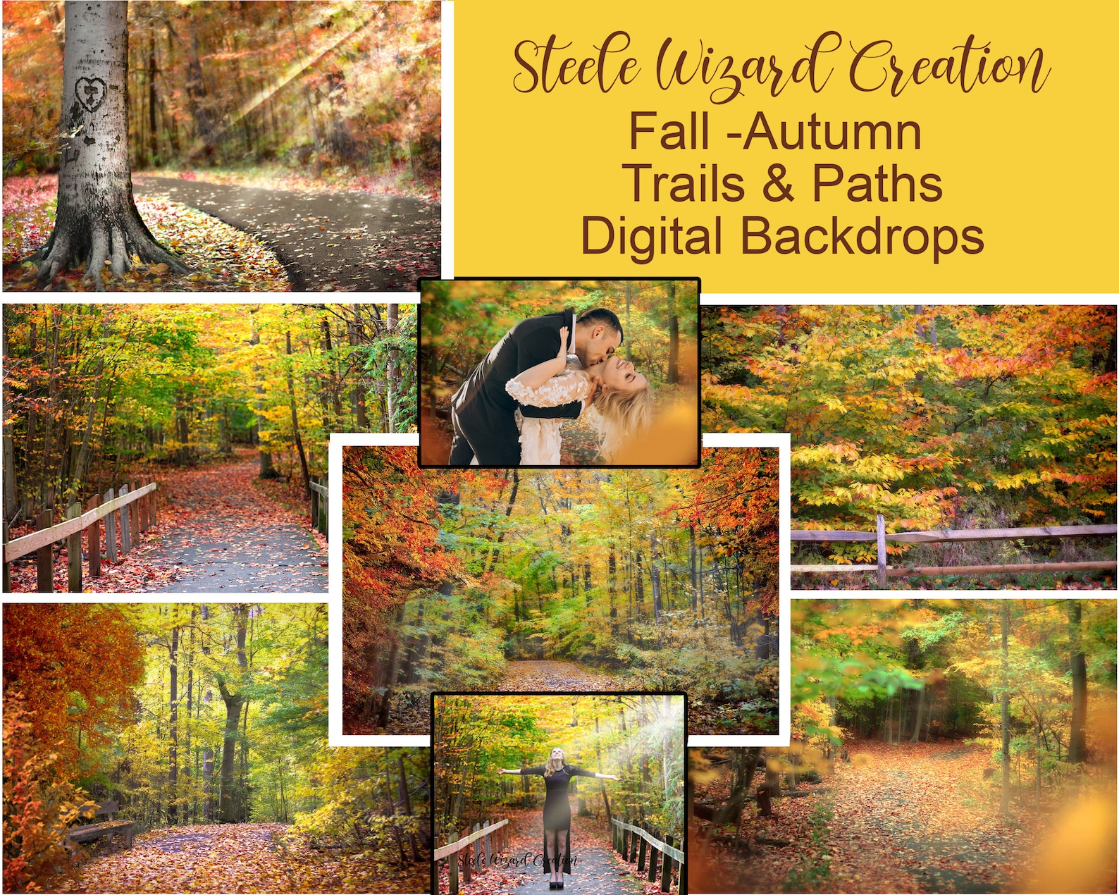 Autumn Tree Leaf Overlays, PNG Falling Leaves Overlays, Fall Tree ...