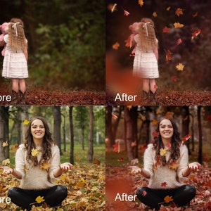 Autumn Tree Leaf Overlays, PNG Falling Leaves Overlays, Fall Tree ...