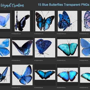 Butterfly Overlay, Butterflies Overlays, Butterfly Clipart, Blue ...