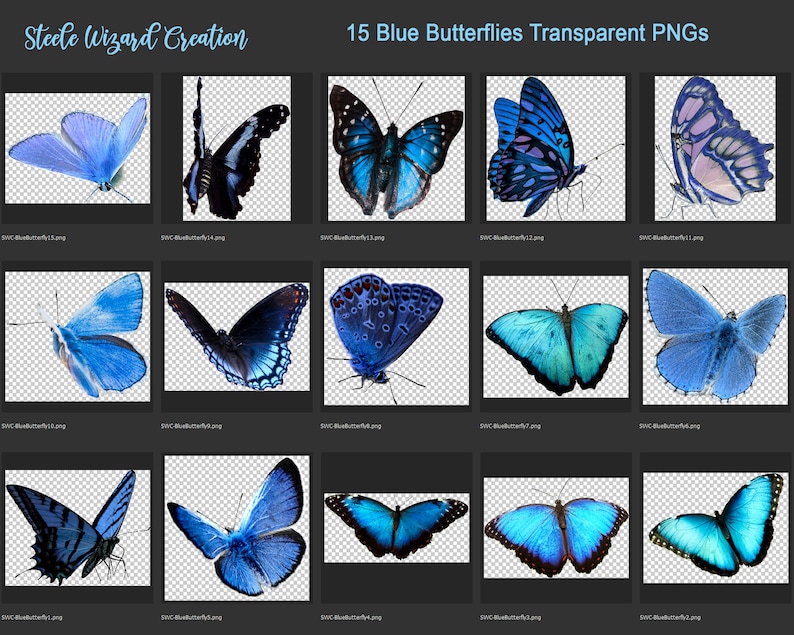 Butterfly Overlay, Butterflies Overlays, Butterfly Clipart, Blue ...