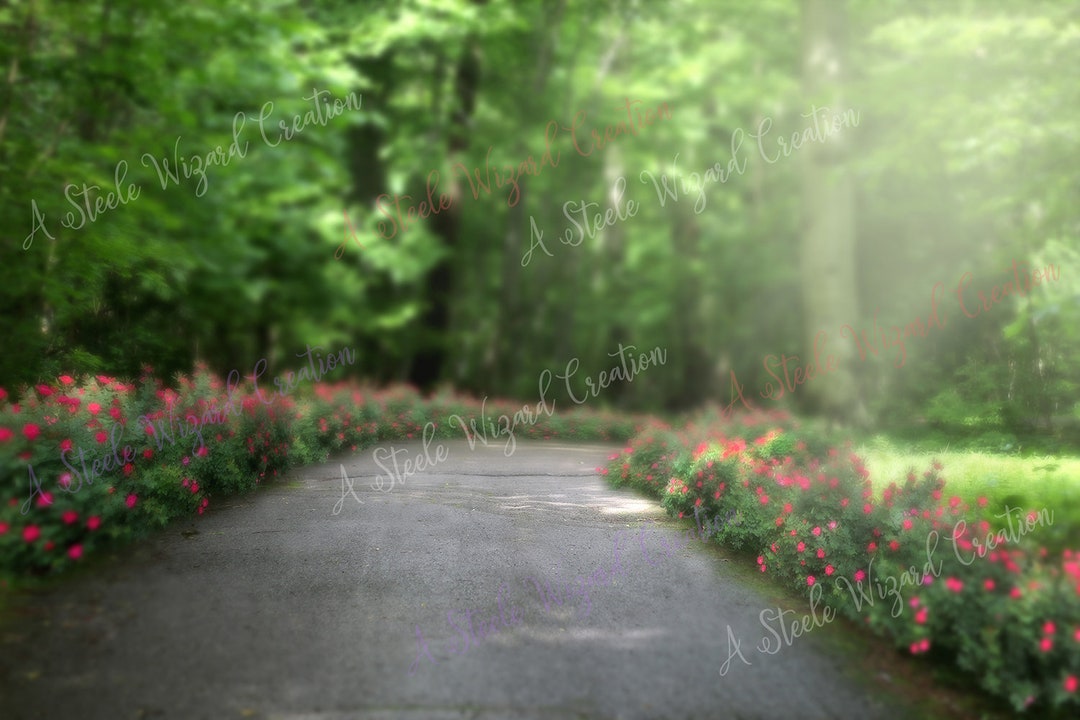 Flower Path Digital Backdrop, Spring Backdrop, Trails, Dreamy Path ...