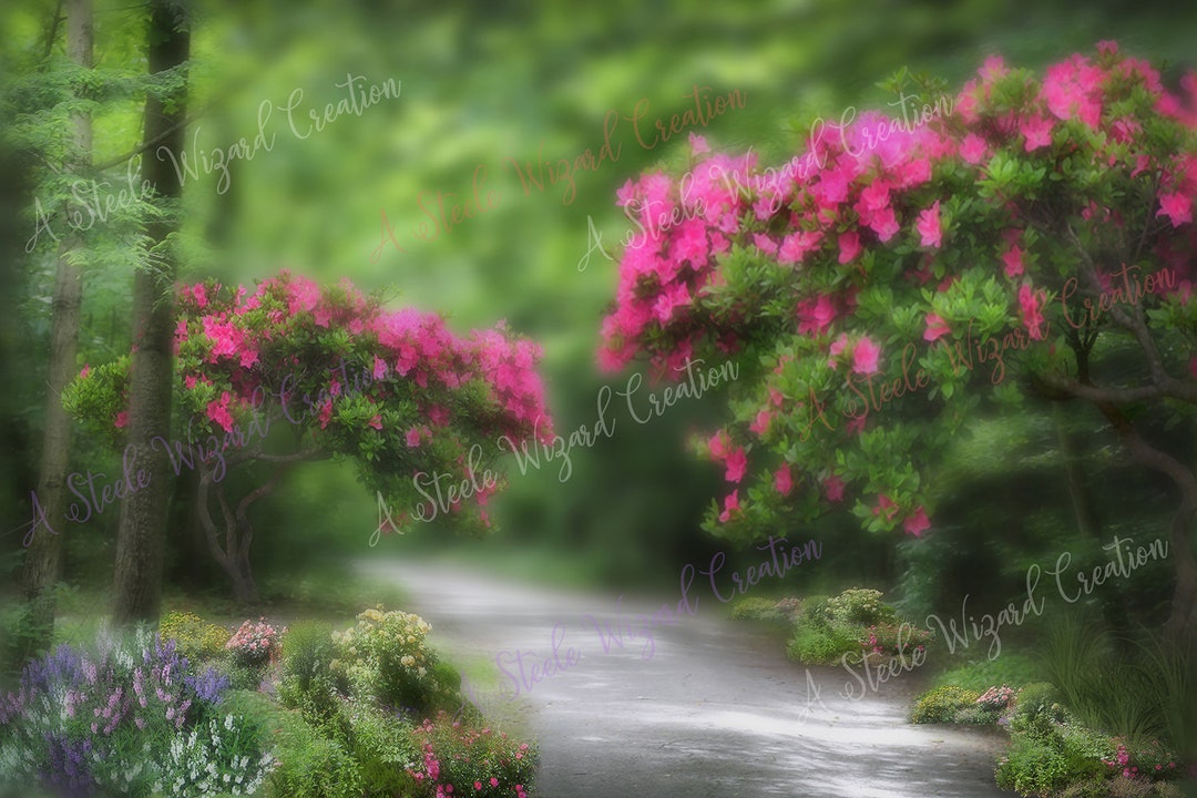 Digital Background, Spring Backdrop, Trails, Path, Summer Digital ...
