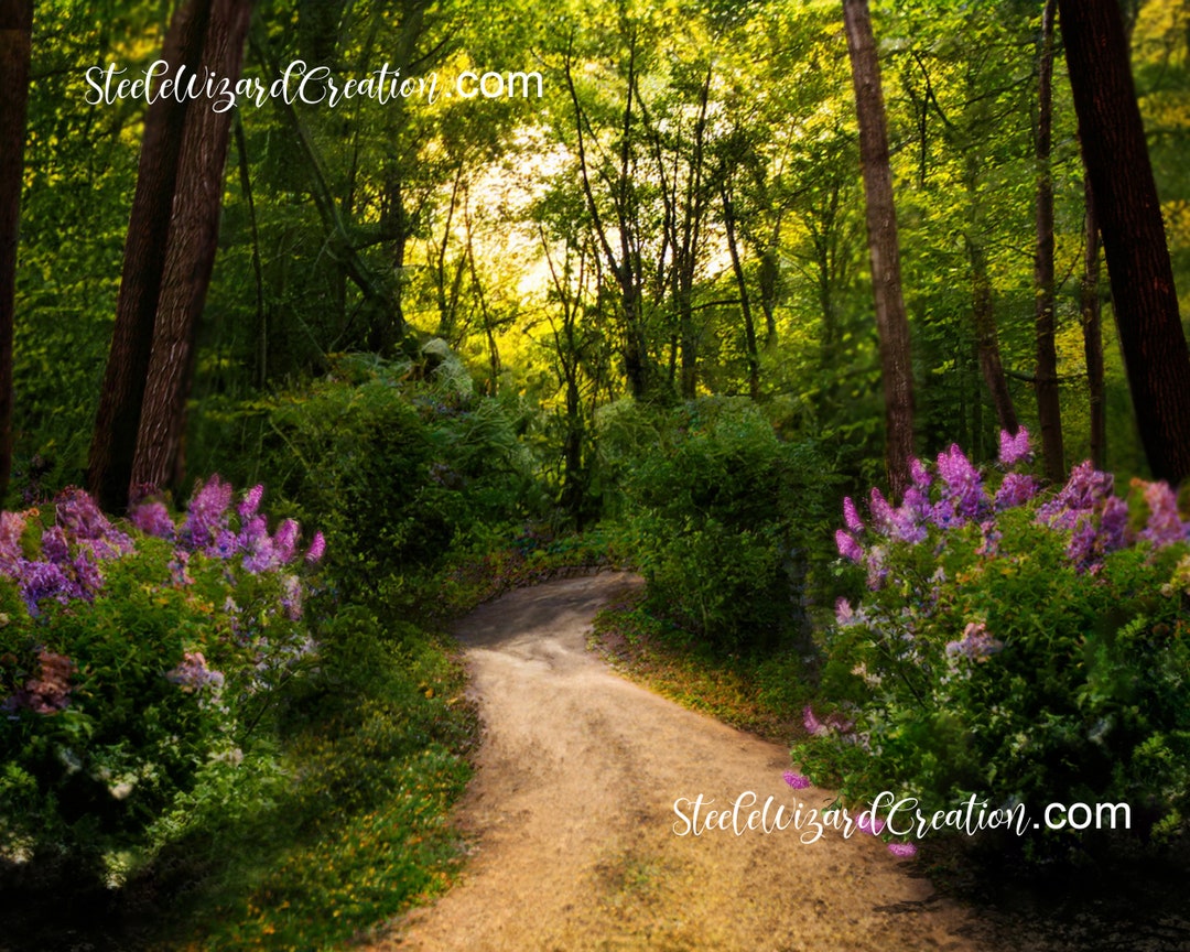 Spring Floral Backdrop, Lilac Path, Digital Background, Spring ...