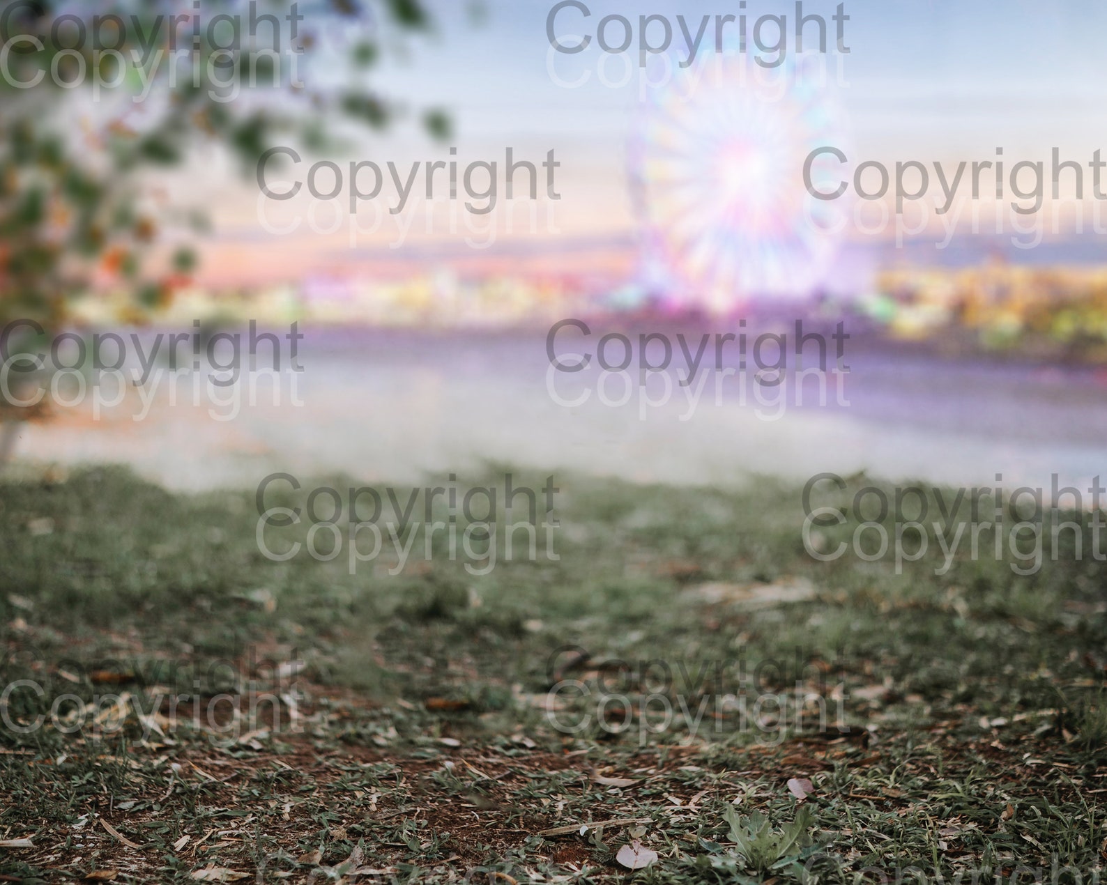 Ferris Wheel Backdrop, Carnival Background, Digital Background, Spring ...