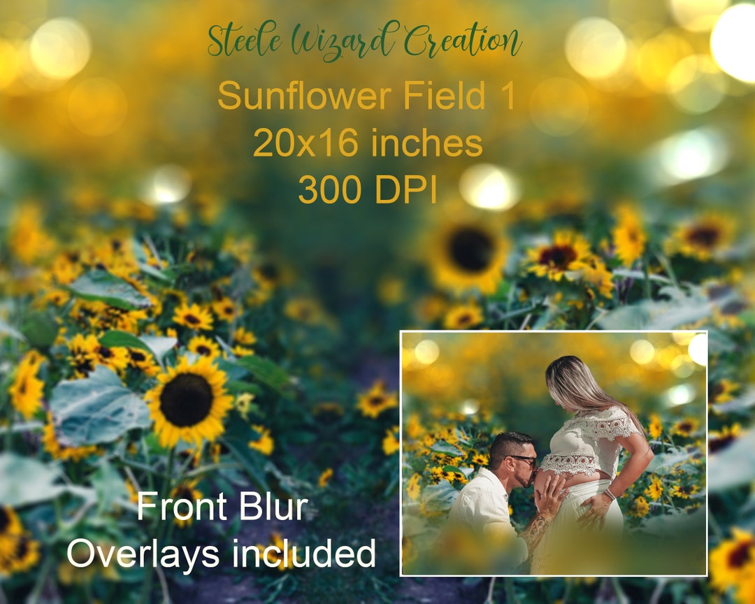 Sunflower Backdrop, Digital Background, Summer Backdrop, Flower Overlay ...