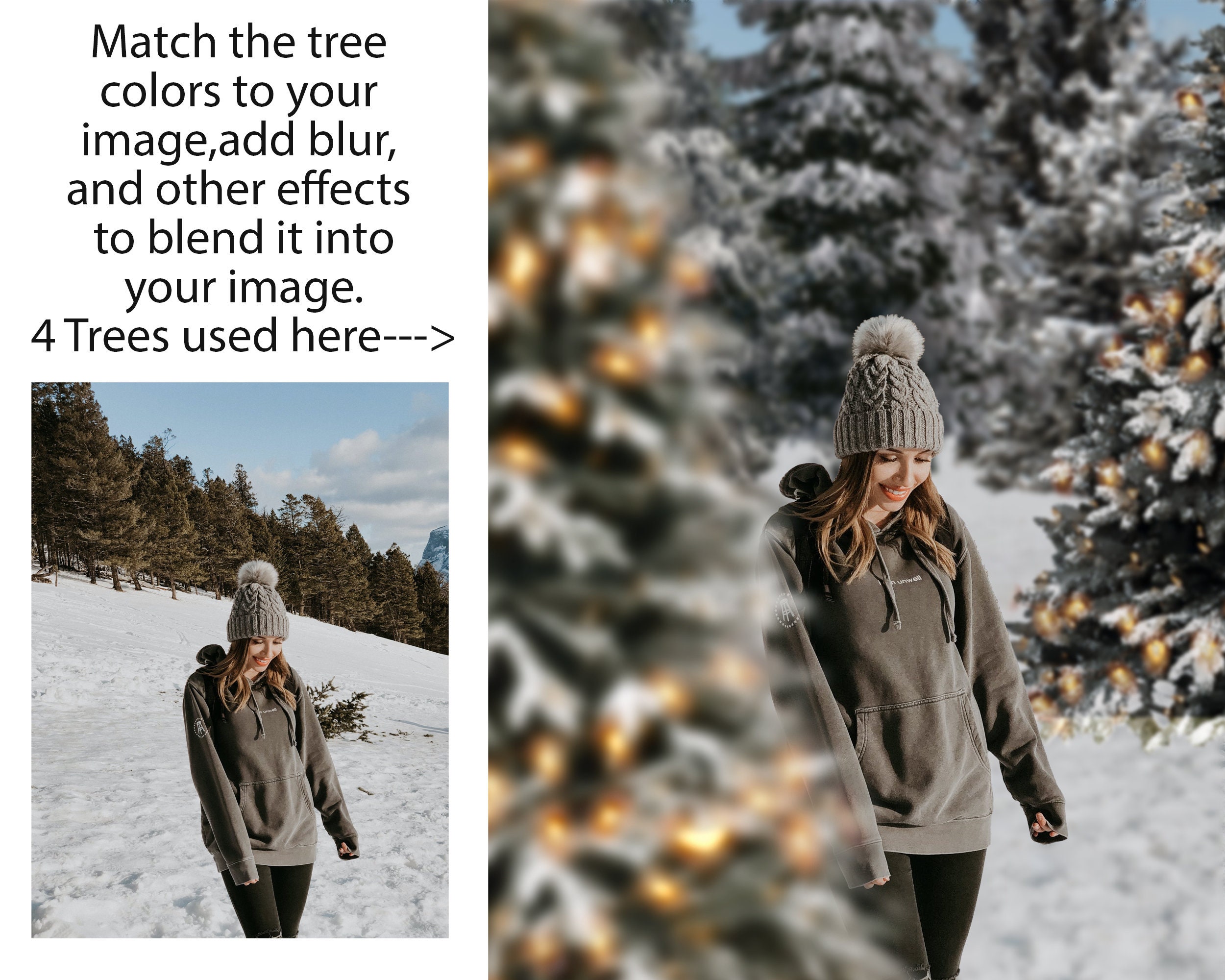 Set 2 Pine Trees Overlays Christmas Trees Evergreen Trees | Etsy