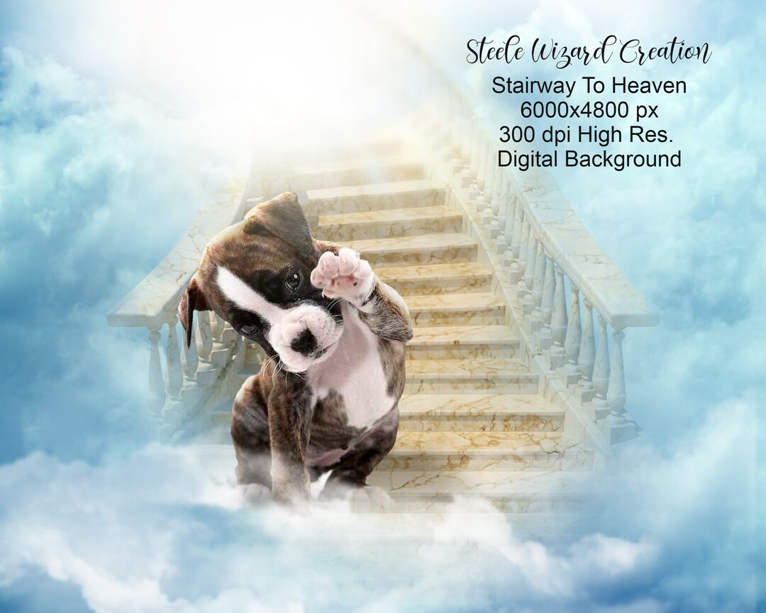 Digital Backdrop, Pet Memorial Digital Background, Stairway in Clouds ...
