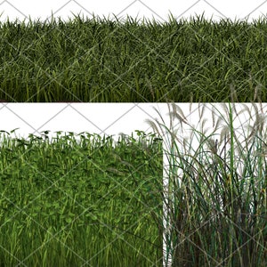 10 PNG Grass Overlays, Real Grass Overlays, Transparent Grass PNG ...