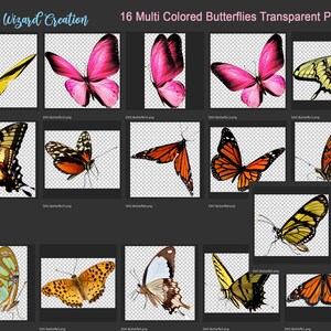 Butterfly Overlay, Butterflies Overlays, Butterfly Clipart, Blue ...