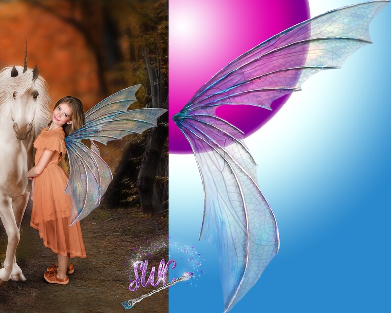 Fairy Wings Overlays Fairies Clipart Fairy Overlay Set 1 | Etsy