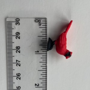 Miniature Red Bird Mini Cardinal Dollhouse Craft Supply - Etsy