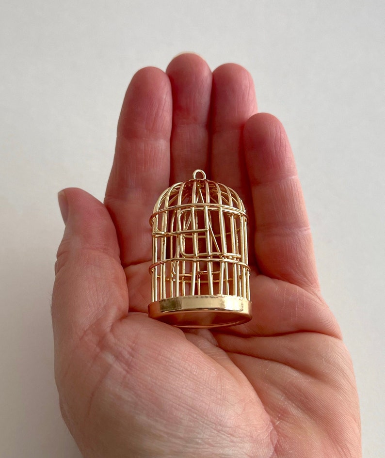 Miniature Birdcage Bluebird Bird Cage Mini Birds Tiny Blue - Etsy