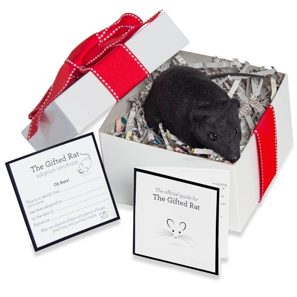 Realistic Fake Mouse - Etsy