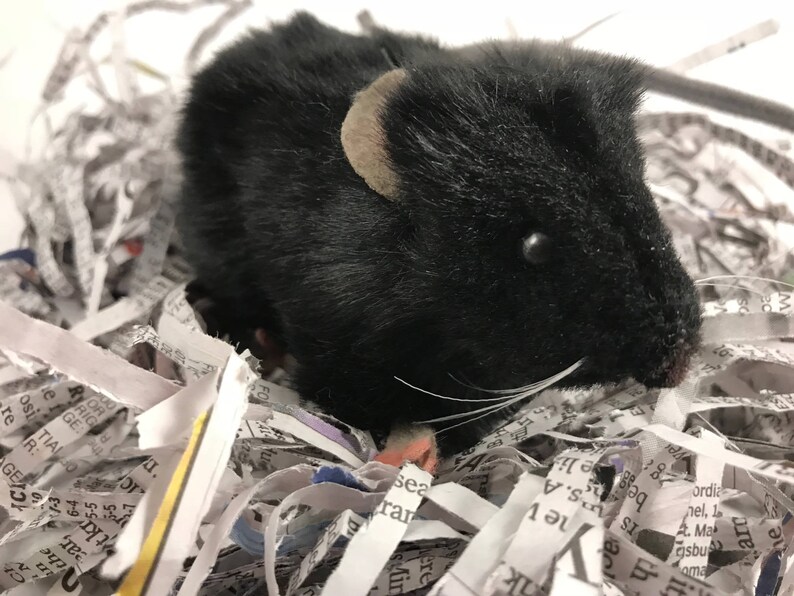 Plush Black Realistic Fake Lifelike Mouse Rat Gift Adoption - Etsy