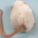 Realistic Fake Plush Mouse Rat White Furry Rat Gift - Etsy