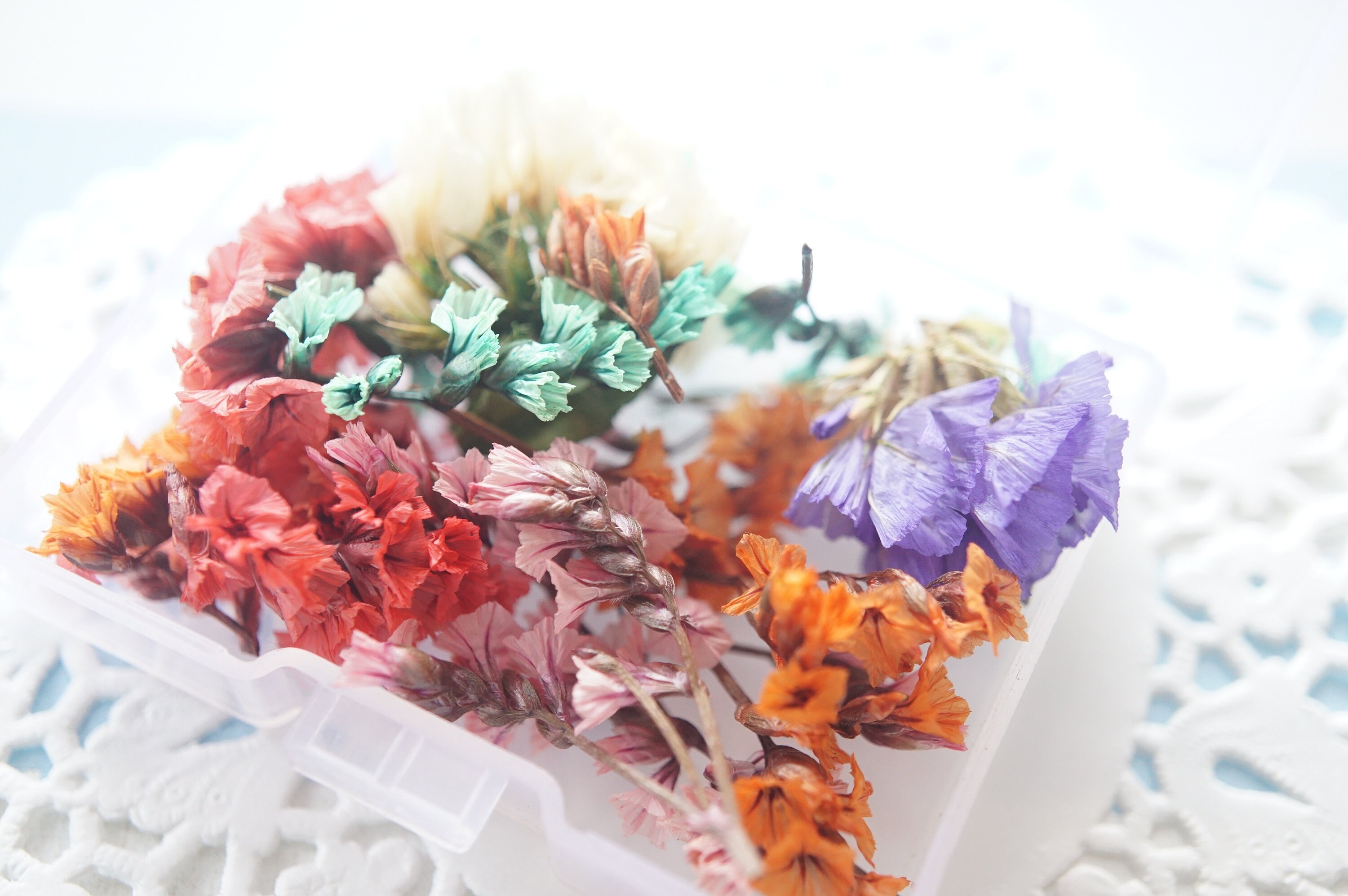 One Box Resin Inclusions / Inserts / Supplies Tiny Dried - Etsy