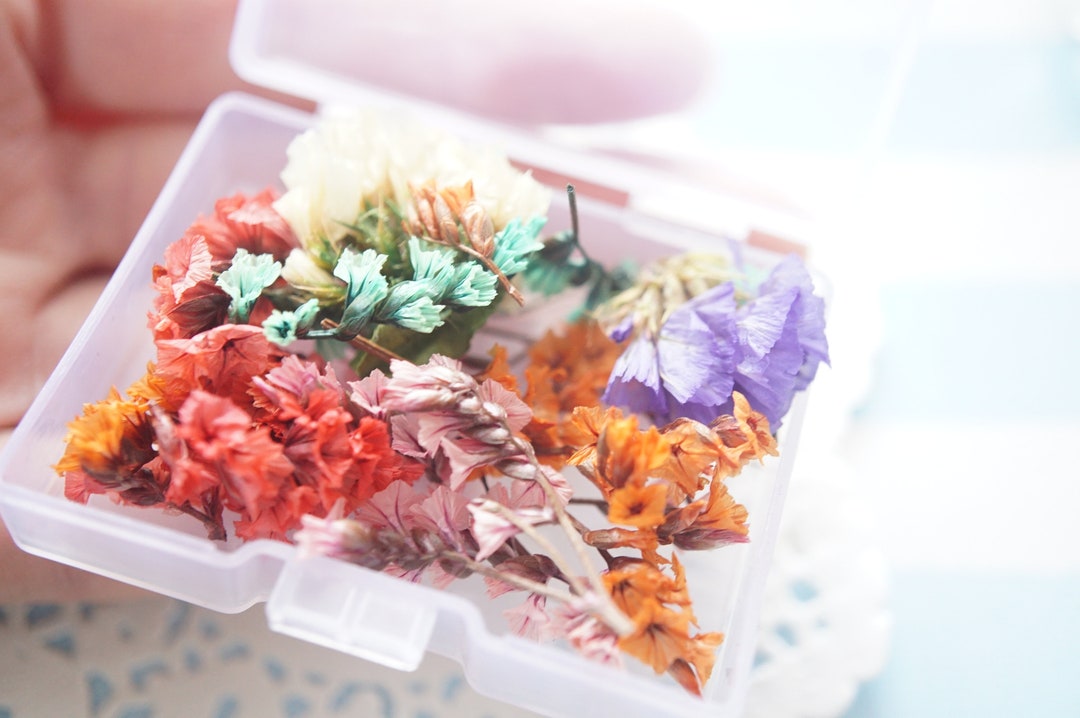 One Box Resin Inclusions / Inserts / Supplies Tiny Dried Flowers AA136 ...