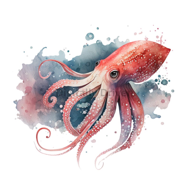 Watercolor Octopus and Squid Clipart, Ocean Animals, 10 PNG, Instant ...