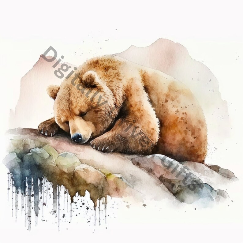 Cute Brown Bear Watercolor Clipart, 13 Png's, Transparent Background ...