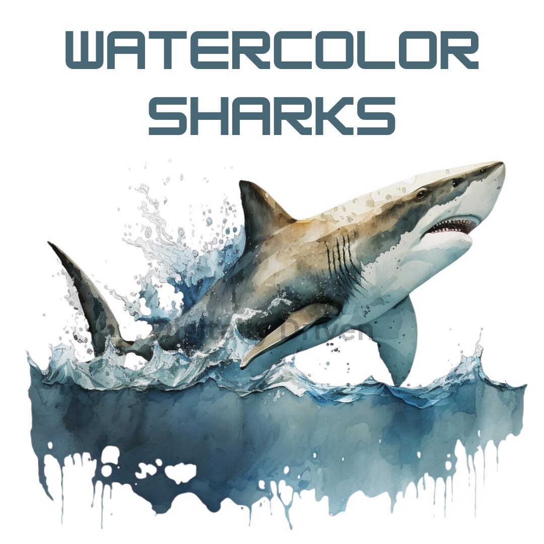 Watercolor Shark Clipart, 10 PNG, Great White Shark, Tiger Shark, Ocean ...