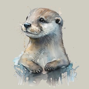 Cute Watercolor Otter Clipart, 10 PNG, Sea Animal, Aquatic Life ...