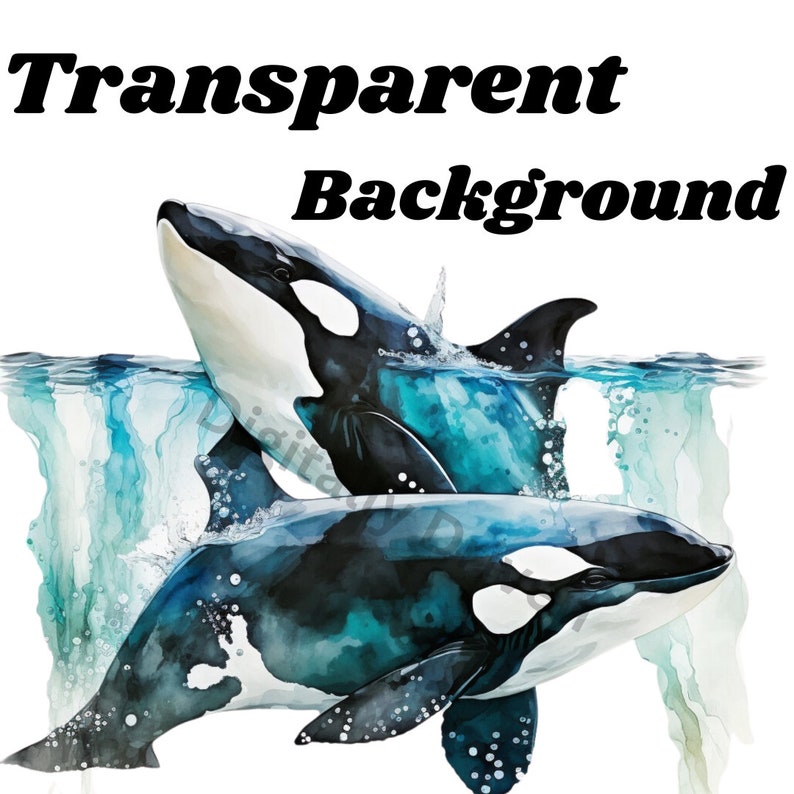 10 PNG Watercolor Whale Clipart, Orca Whale, Humpback Whale, Instant ...