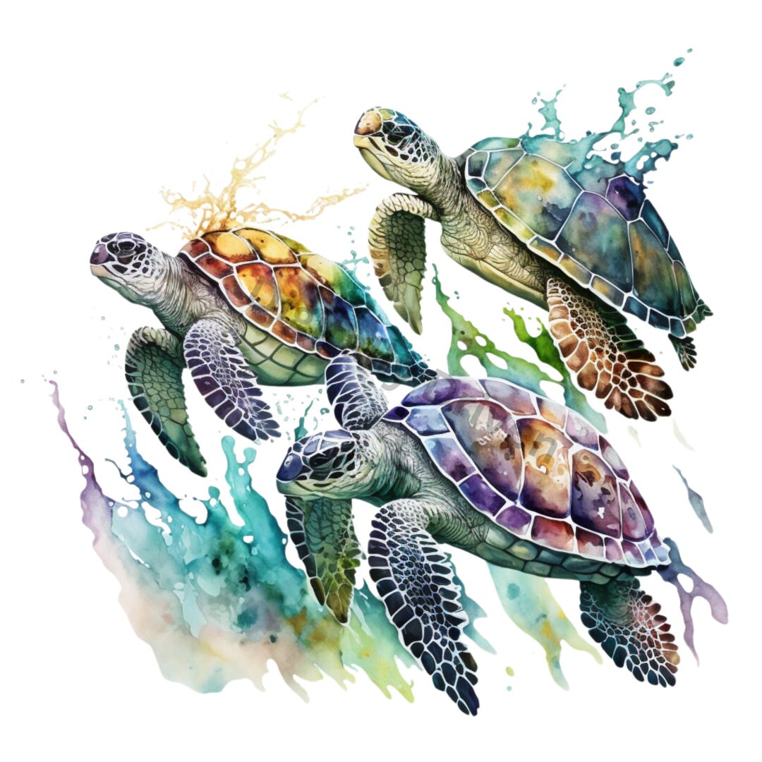 Watercolor Sea Turtle Clipart, 10 Png's, Marine Life, Ocean Life, Sea ...