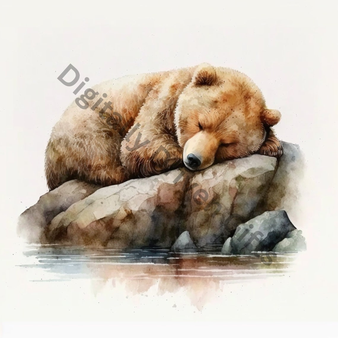 Cute Brown Bear Watercolor Clipart, 13 Png's, Transparent Background ...