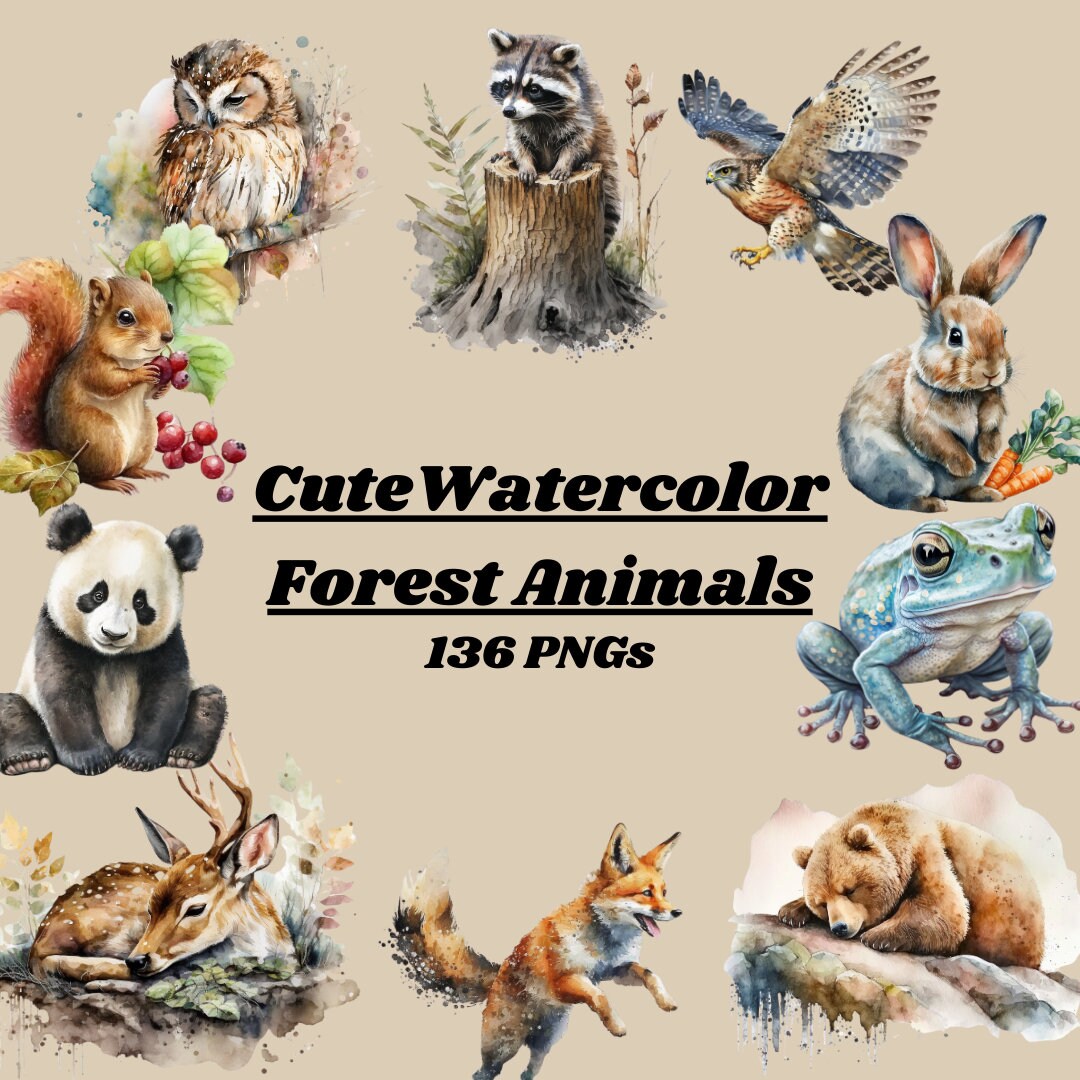 Cute Forest Animals Clipart, Watercolor, Bear Bunny Fox Hawk Owl Frog ...