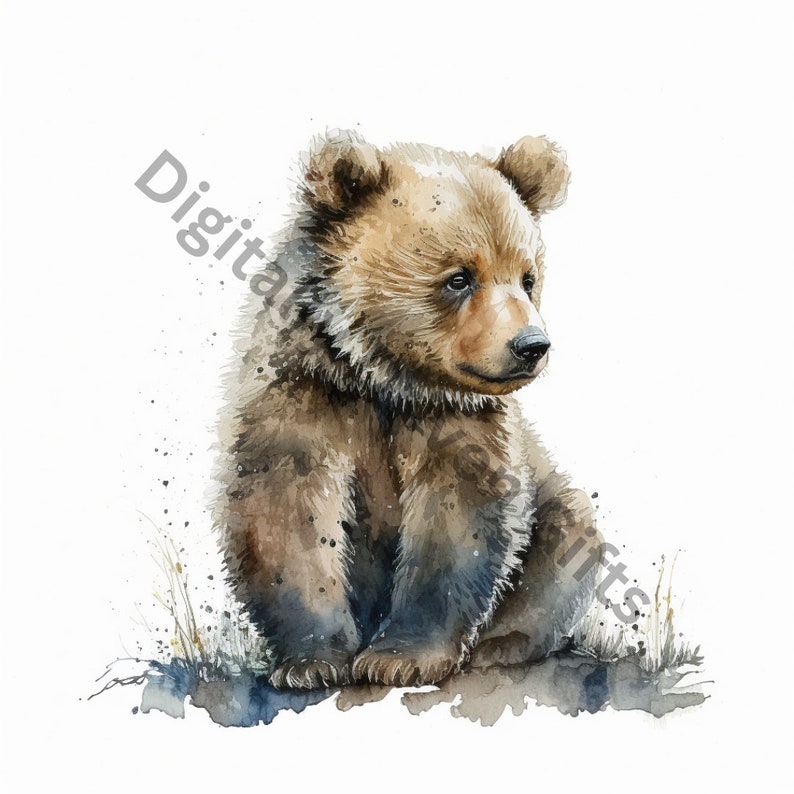 Cute Brown Bear Watercolor Clipart, 13 Png's, Transparent Background ...