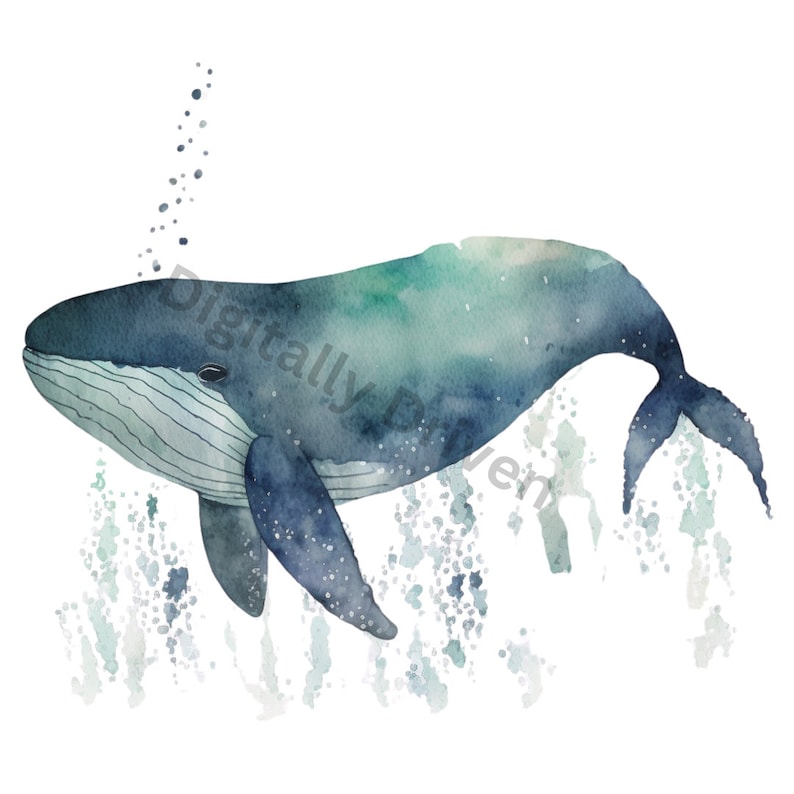 10 PNG Watercolor Whale Clipart, Orca Whale, Humpback Whale, Instant ...