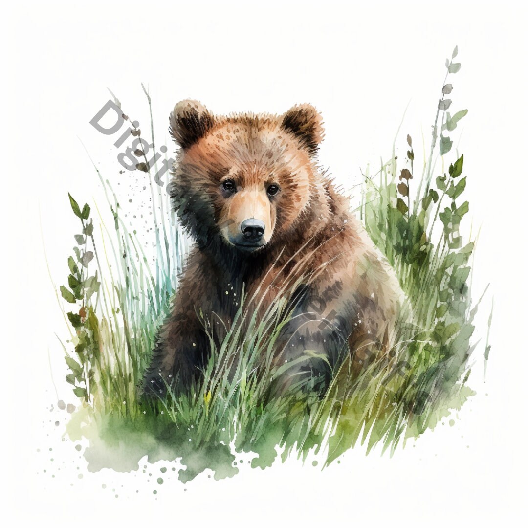 Cute Brown Bear Watercolor Clipart, 13 Png's, Transparent Background ...