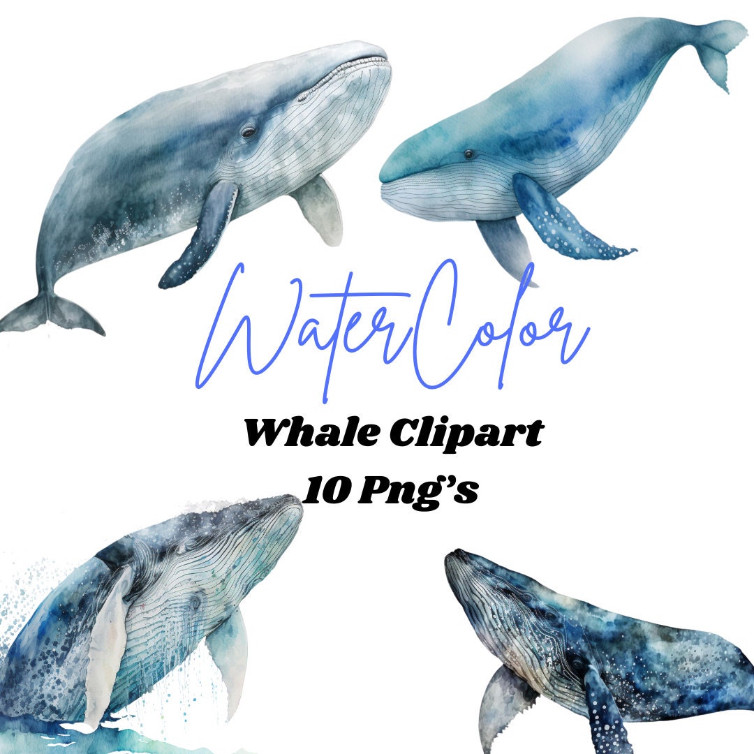 10 PNG Watercolor Whale Clipart, Orca Whale, Humpback Whale, Instant ...