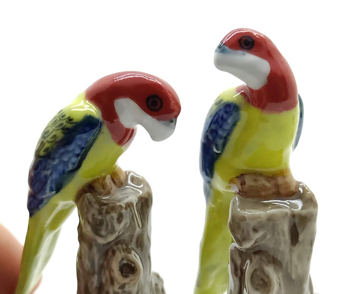 Set of 2 Macaw Parrot Ceramic Figurines, Hand-painted Vibrant Colors ...
