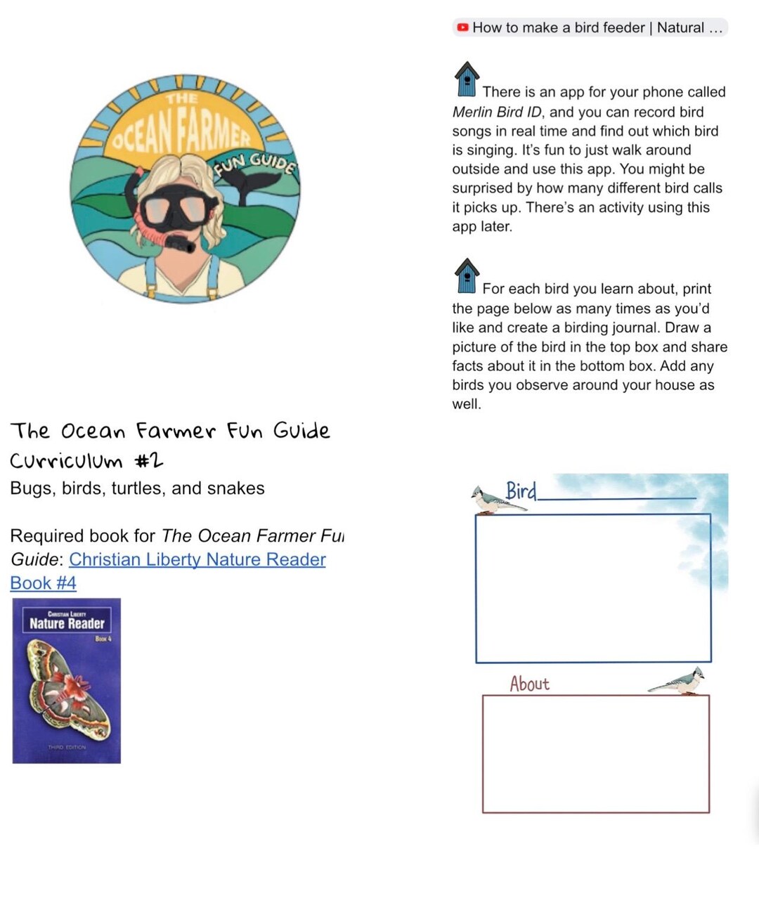 The Ocean Farmer Fun Guide #2 - Birds, Bugs, Turtles, and Snakes! - Etsy