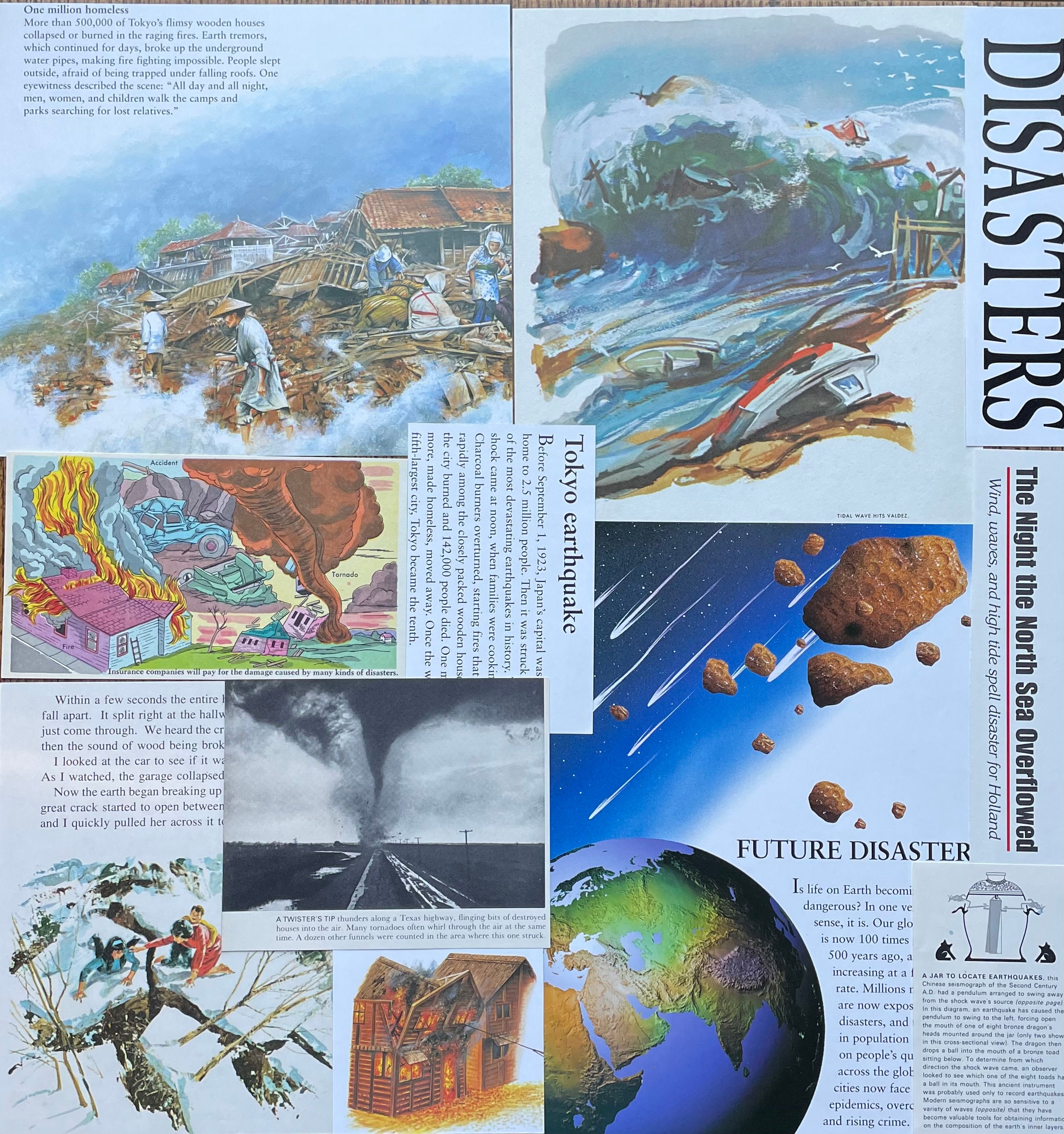 Natural Disasters Collage