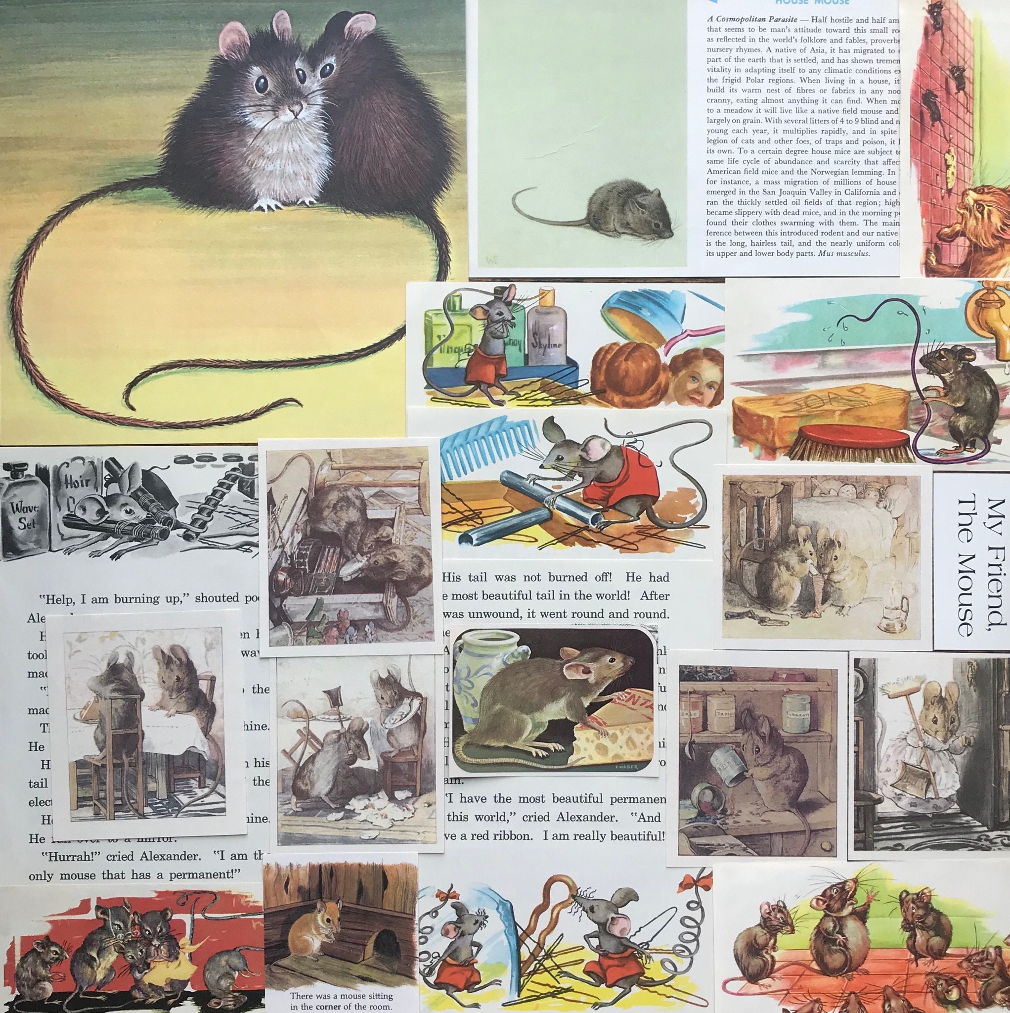 There's a Mouse in the House Vintage Mice Collage - Etsy