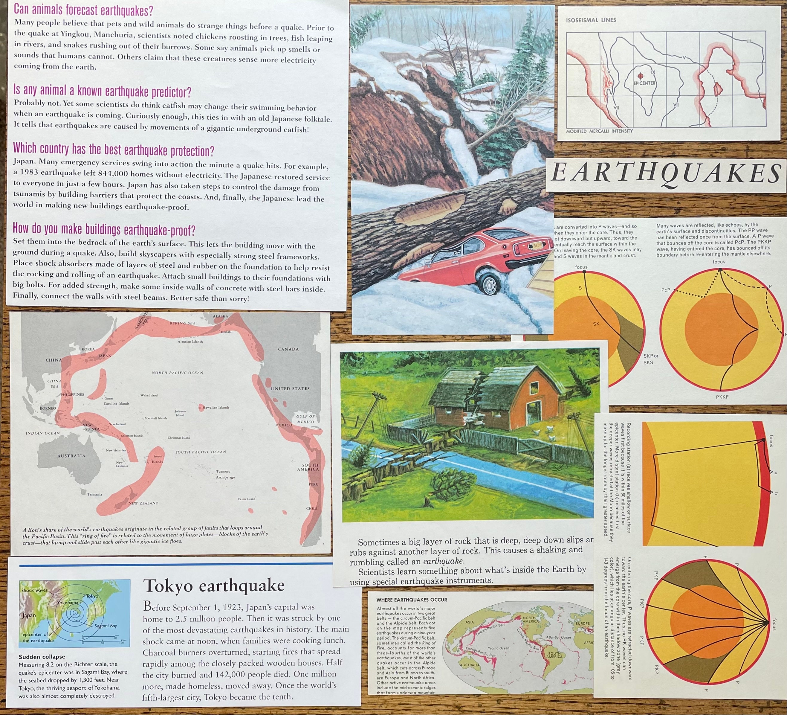 Earthquake Poster Project